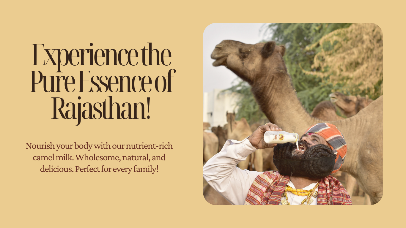 "Explore Authentic Rajasthani Charm : Natural Rajasthani" – Natural ...